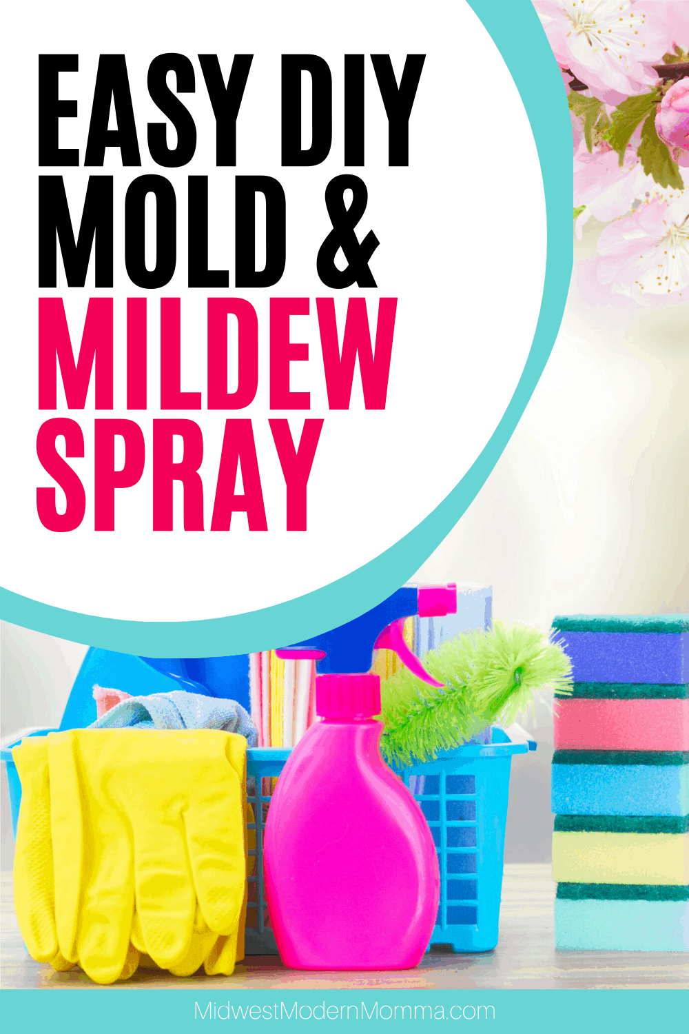 Homemade Mold and Mildew Remover Spray — Safe for Walls and Surfaces