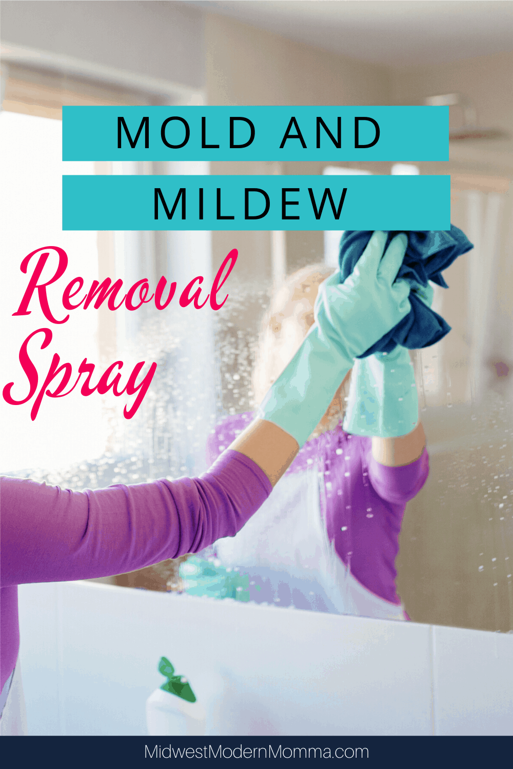 Homemade Mold and Mildew Remover Spray — Safe for Walls and Surfaces