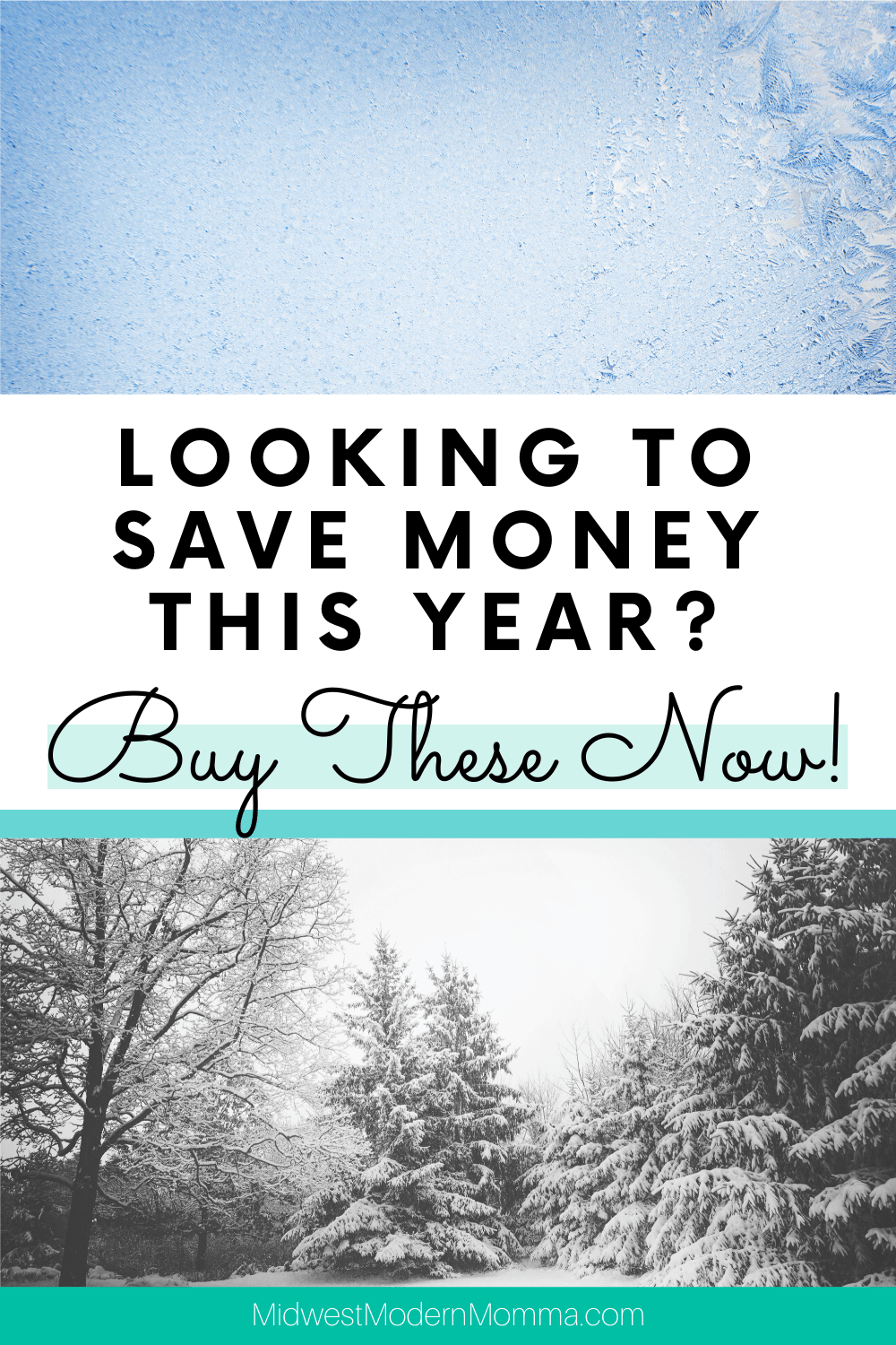 Cool Things To Buy In January To Save Money | Midwest Modern Momma