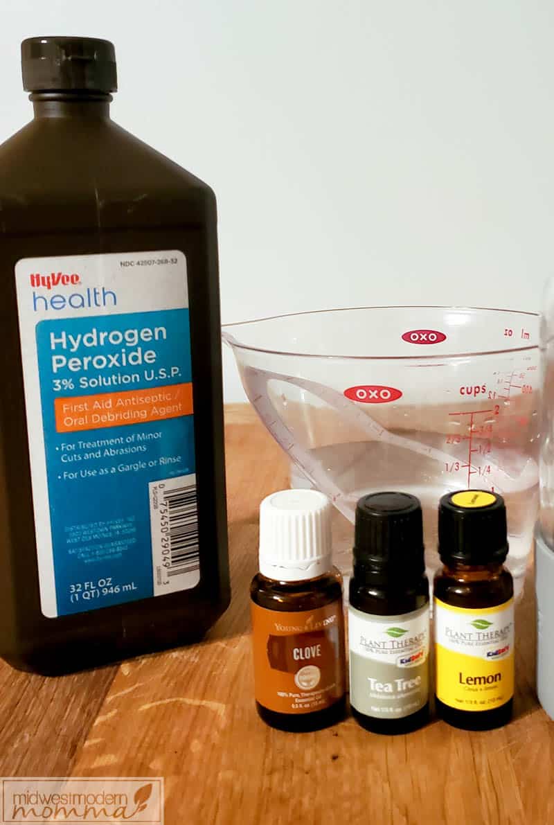 Homemade Mold and Mildew Remover Spray — Safe for Walls and Surfaces