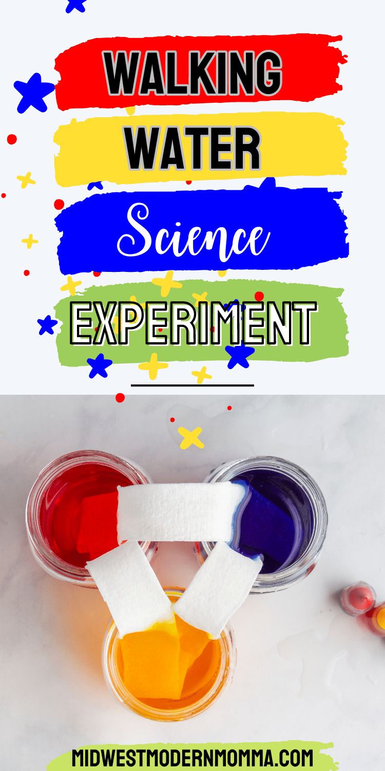 Walking Water Experiment & Lesson Plan