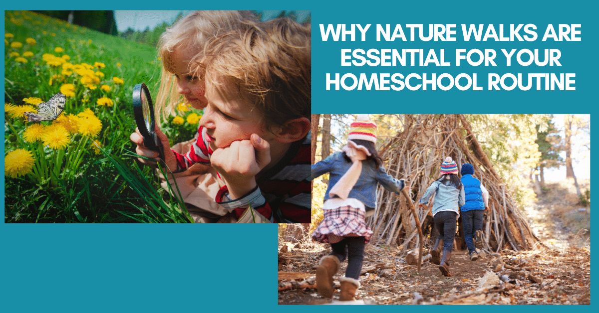 Nature Walks for Homeschool: Budget-Friendly Scienc - Midwest Modern Momma
